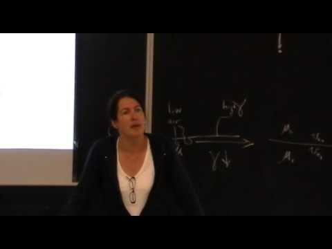 Surfacants and Marangoni Effects - Stebe