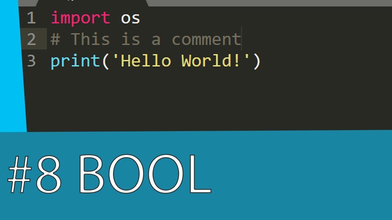 #8 PYTHON 3 TUTORIAL - DATATYPES THE BOOL DATATYPE