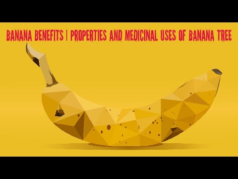 Banana Benefits | Properties And Medicinal Uses Of Banana Tree