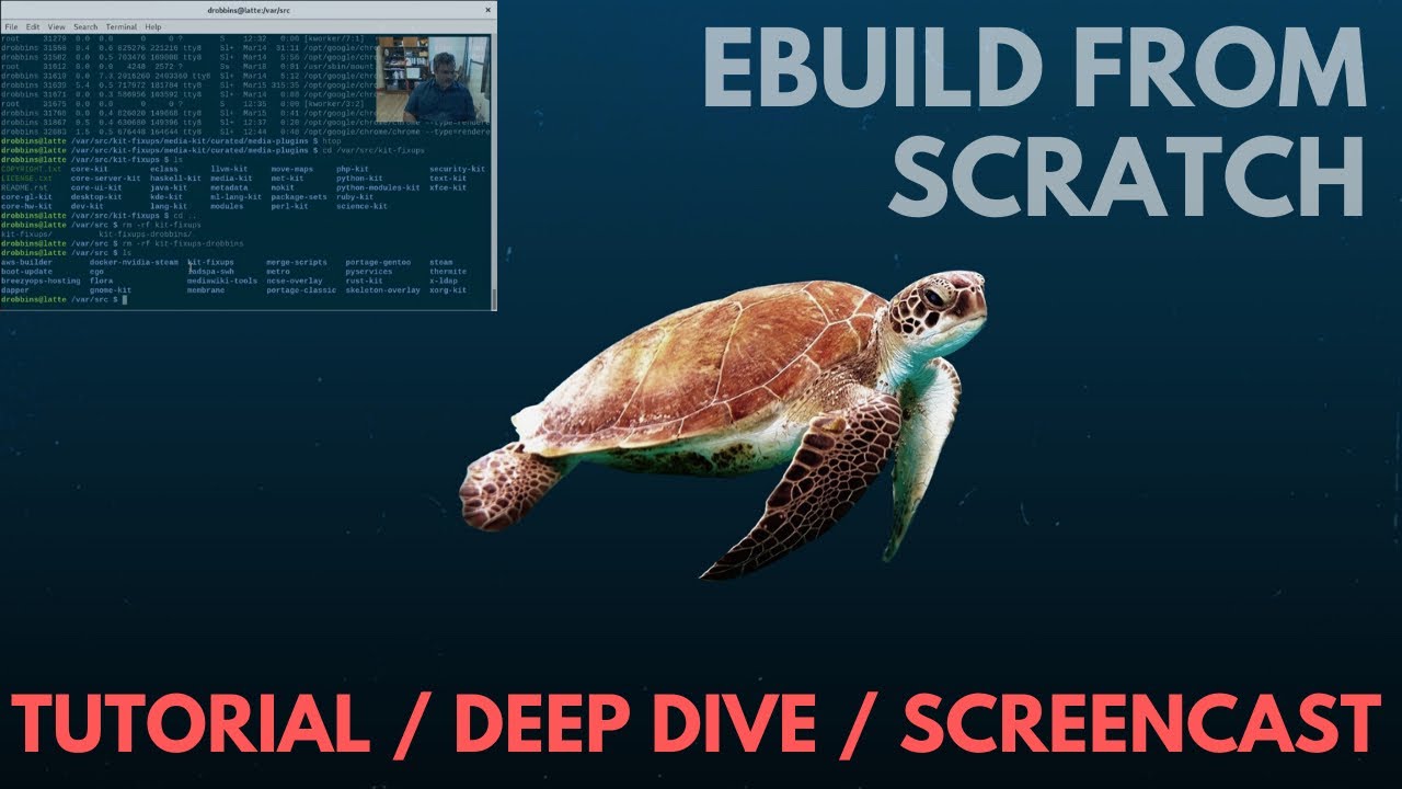 Ebuild From Scratch! - swh-plugins