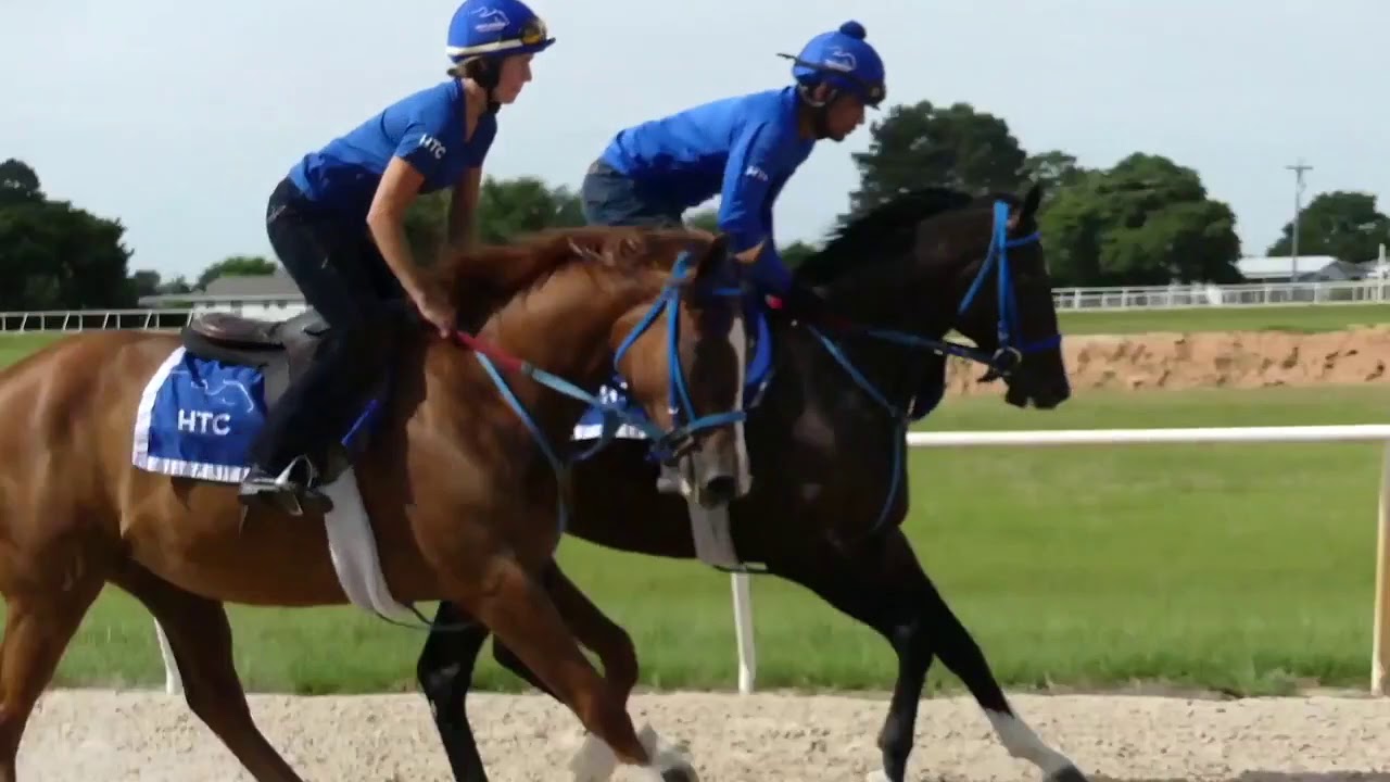 HTC Training your young thoroughbreds