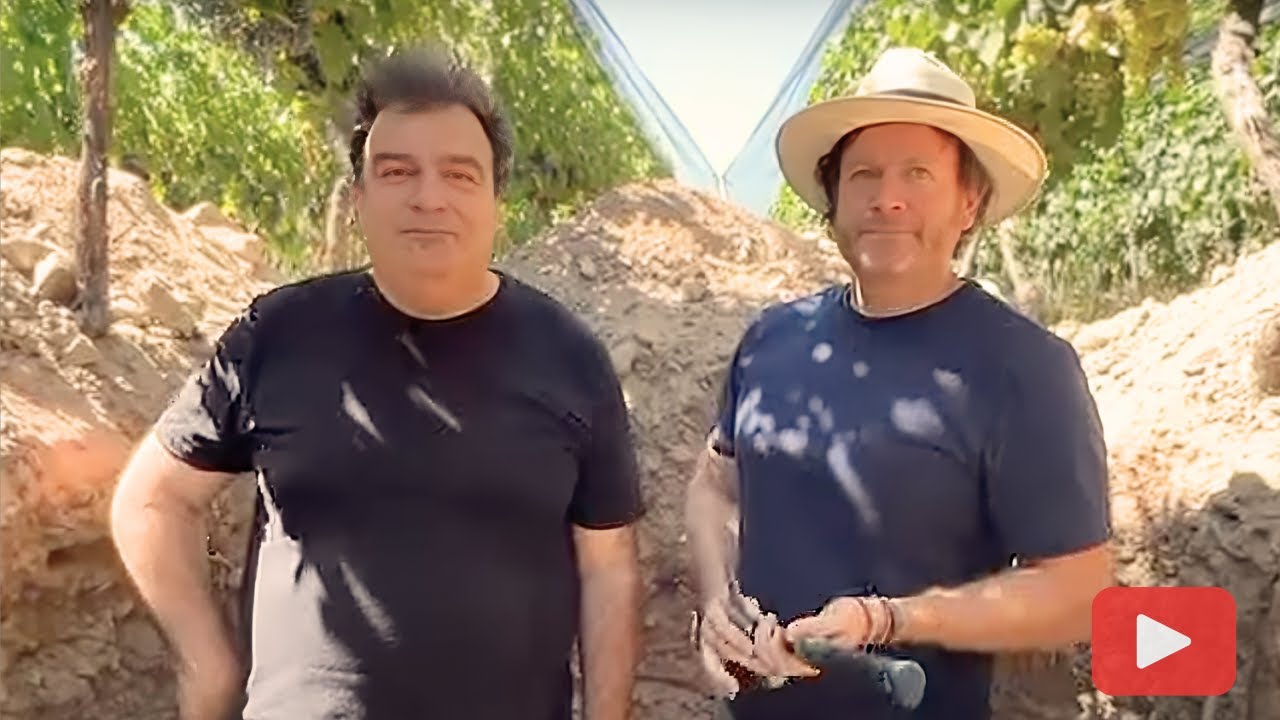 ALEJANDRO VIGIL AND LUIS REGINATO ON THE ANCIENT VINEYARDS OF EL ENEMIGO'S EL CEPILLO