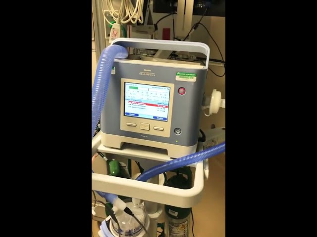Hospital Ventilators - Philips Trilogy 202 Ventilator Wholesale ...