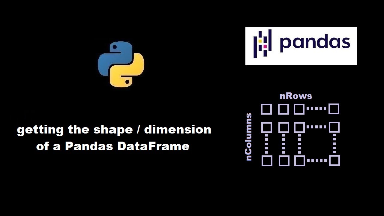 Get the shape / dimension of a pandas DataFrame