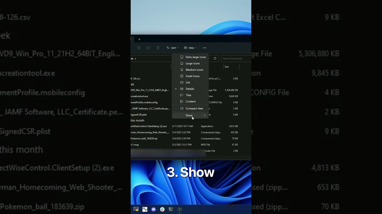 Show hidden items (files) on Windows 11