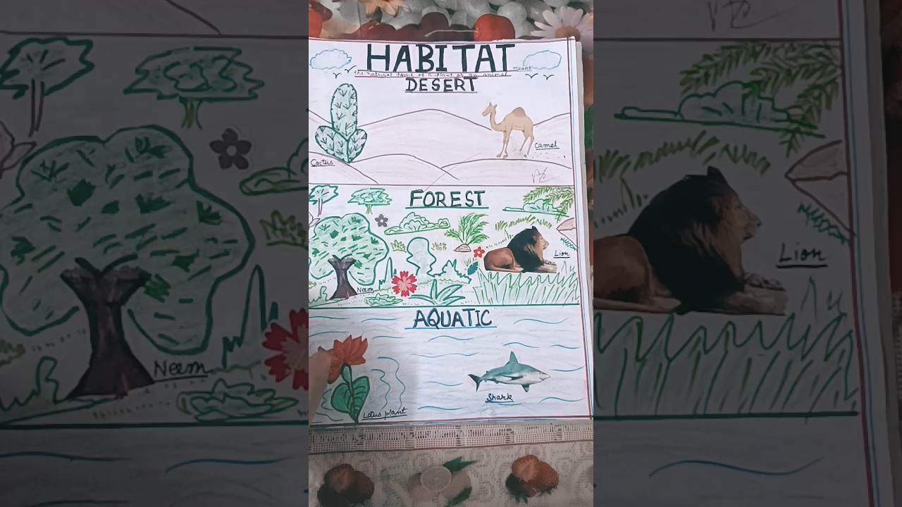 Habitat Project 🙂😁 #project #habitat #science #scienceproject #artprojects