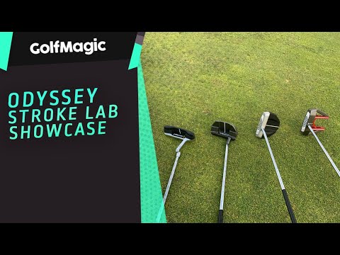 Odyssey Stroke Lab showcase