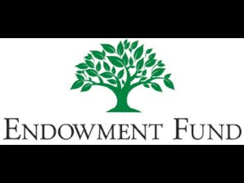 ICAP Endowment Fund Sep 2021 || How To Fill The Form Online || Eligibility Criteria || AFC CAF CFAP