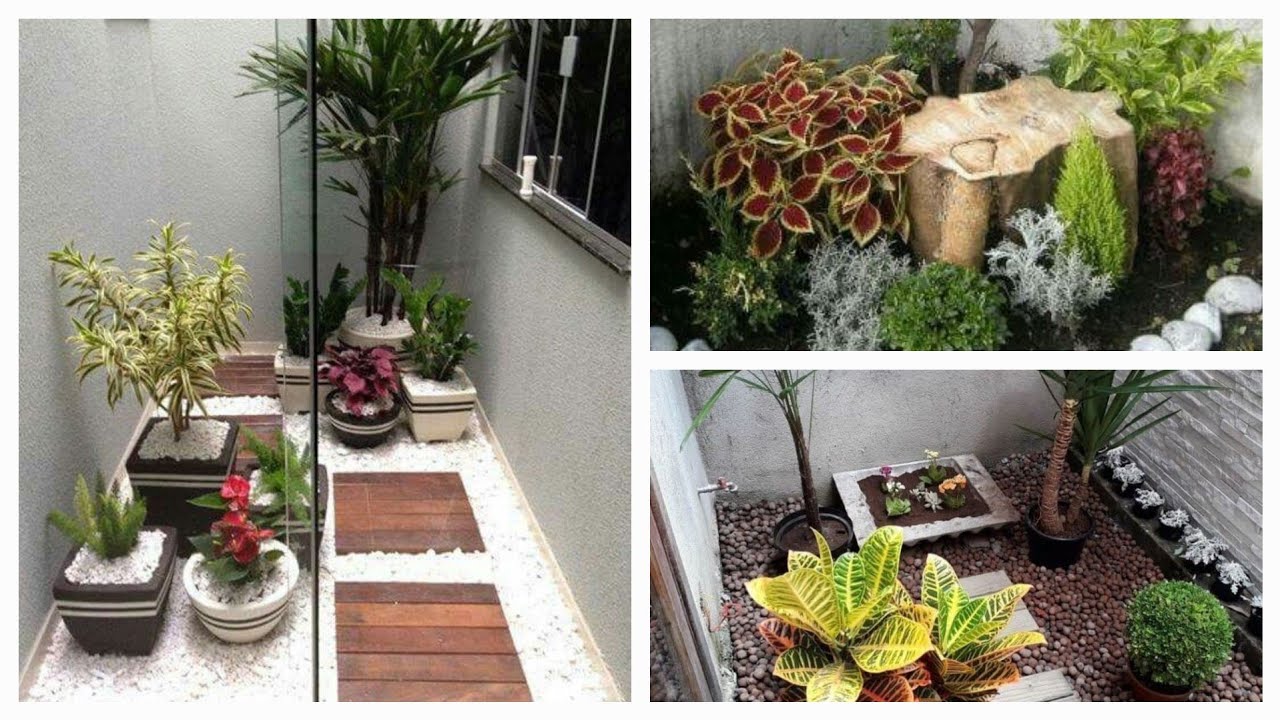 Jardim de inverno pequeno: 30 opções para você se inspirar!