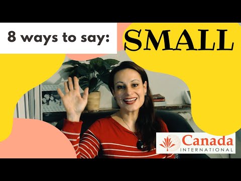 VOCABULARY: 8 synonyms for SMALL