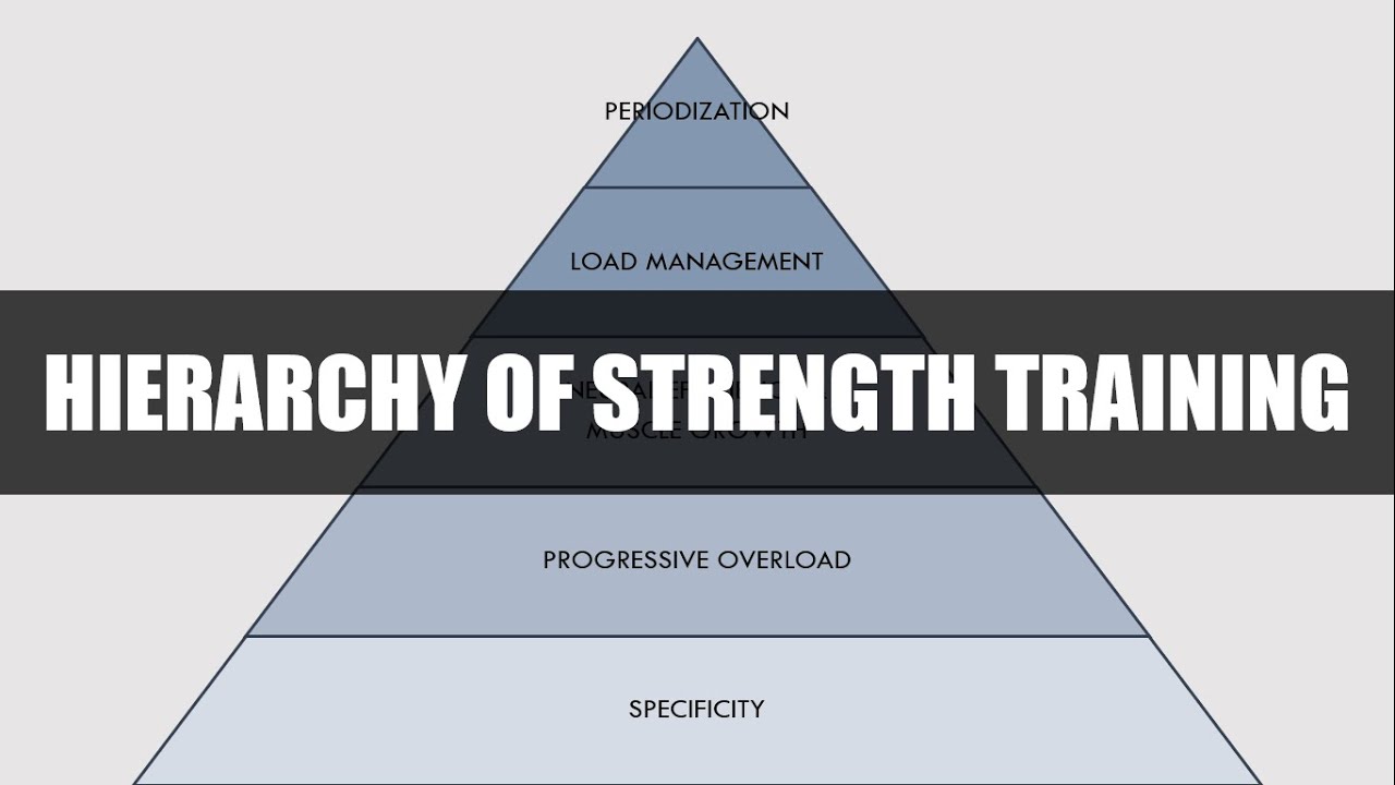 Maximizing Strength Gains: Understanding the Hierarchy of Strength ...
