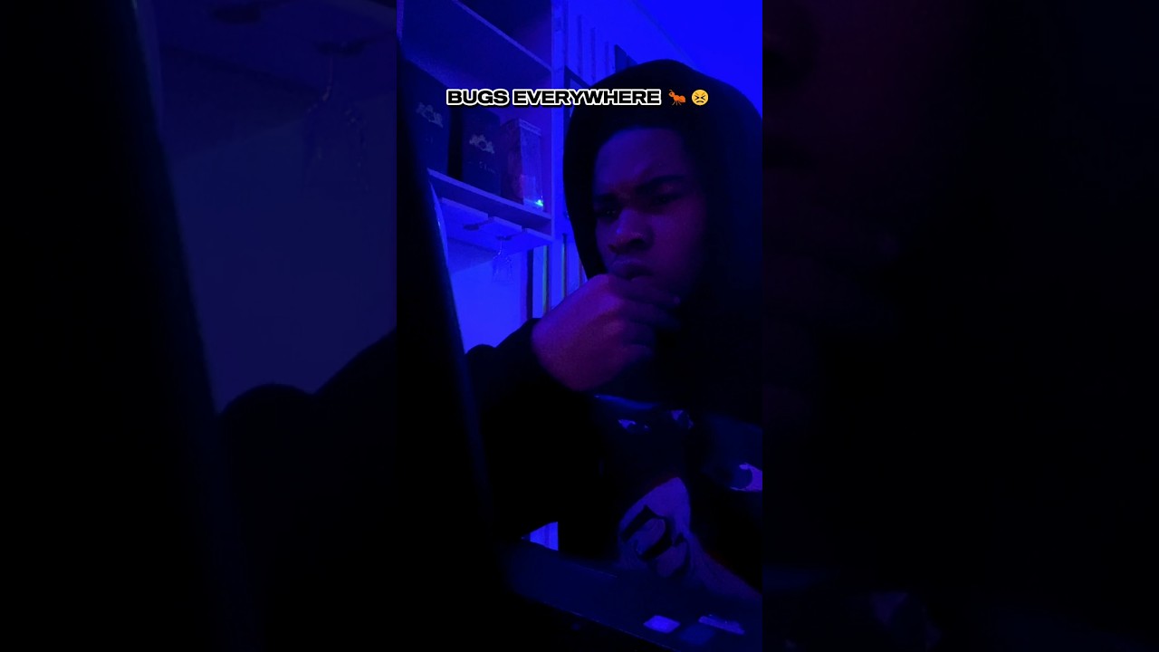 Too many bugs to fix 😭😭 #fullstackdeveloper #webdevelopment #programming #coding #webdeveloper