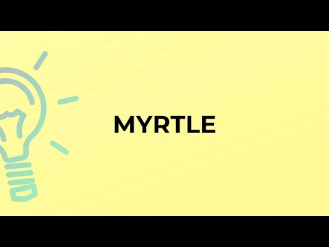 What is the meaning of the word MYRTLE?