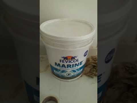 India ka sabse best quality wala Fevicol marine