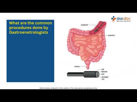 Gastroenterologist: What Is a Gastroenterologist? What They Do and When to See One | Skedoc
