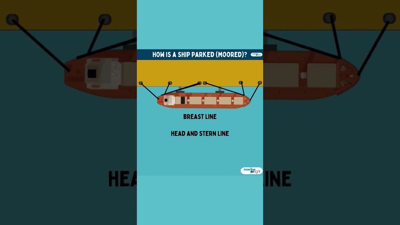 How ships are parked? #mooring #berthing #shorts #youtubeshorts