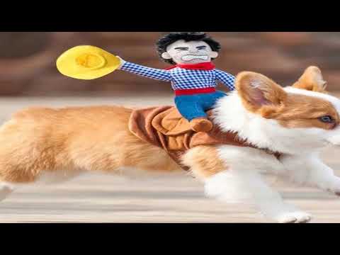 NONOR Halloween Party Dog Clothes Funny Cowboy Dressing Up Jacket Coats French Bulldog Chihuahua Cos