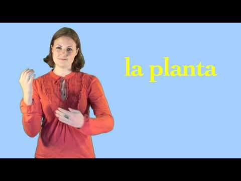 PLANT - ASL/SPANISH - Segment #46