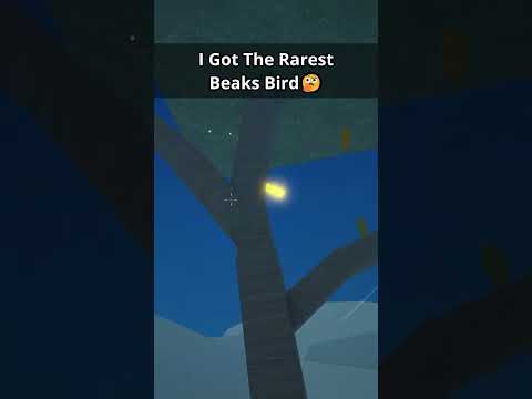 Did I Just Hatch the RAREST Bird in Beaks?! 😳🕊️ #roblox #beaks #fisch