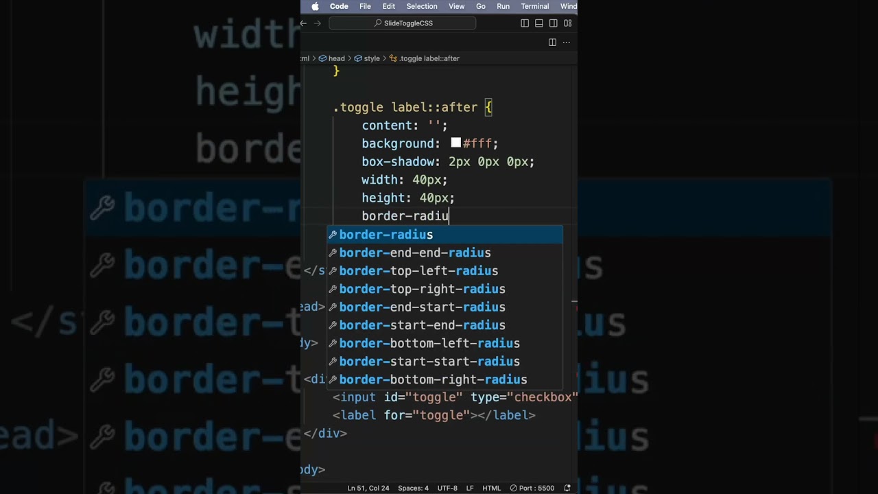Animated slide toggle switch with CSS