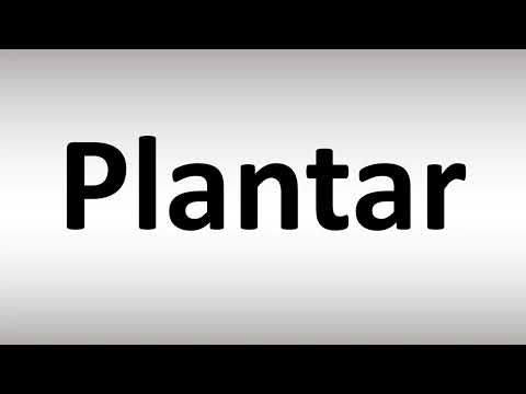 How to Pronounce Plantar