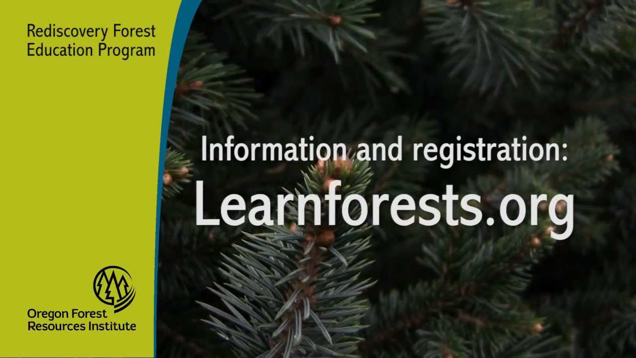 Rediscovery Forest Education Program