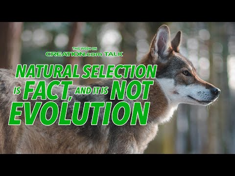 Natural Selection Is Fact, & It Is NOT Evolution