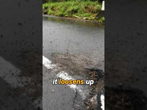 How To Make A LOT Of Money In The Rain