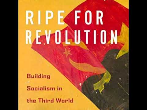 Episode 21: Building Socialism in the Third World with Jeremy Friedman