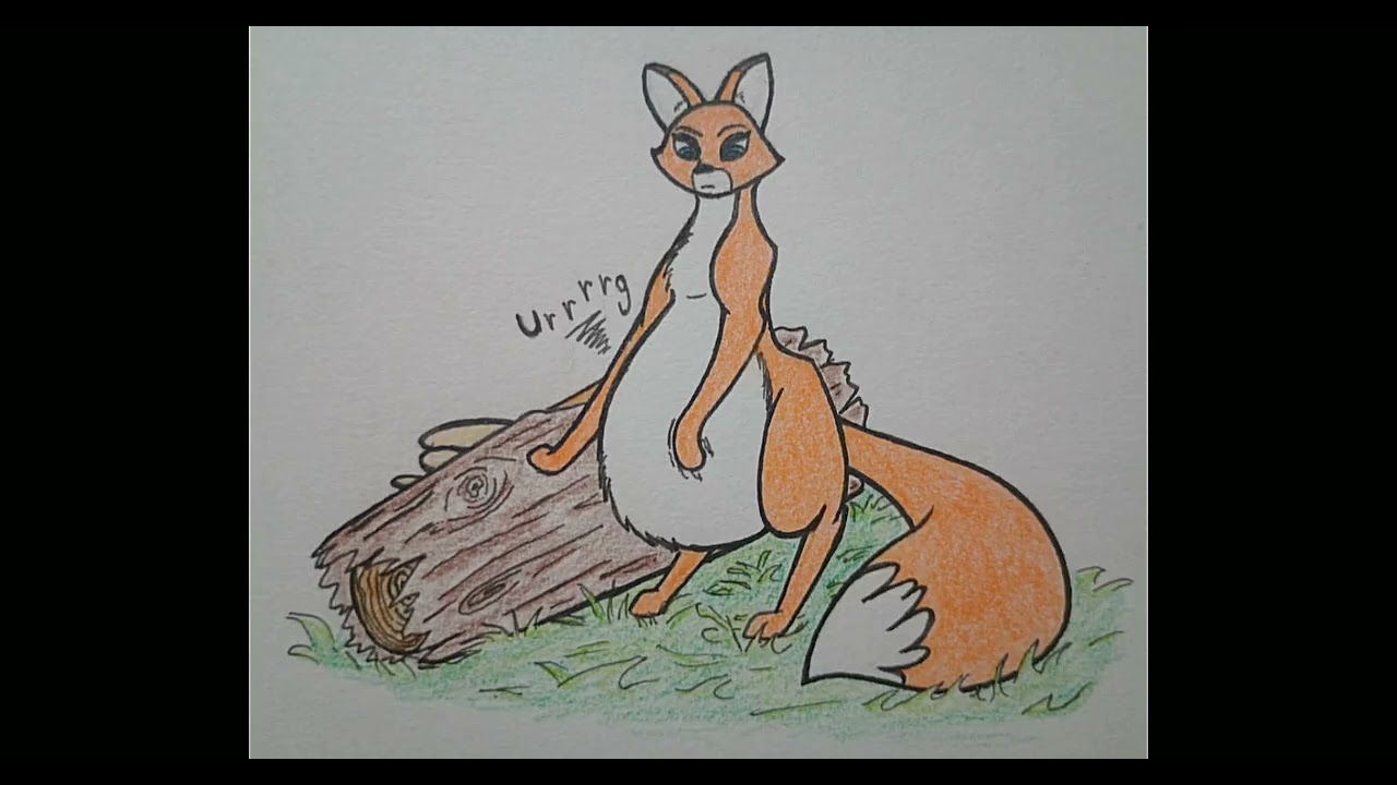 Vixey the Fox Belly Inflation