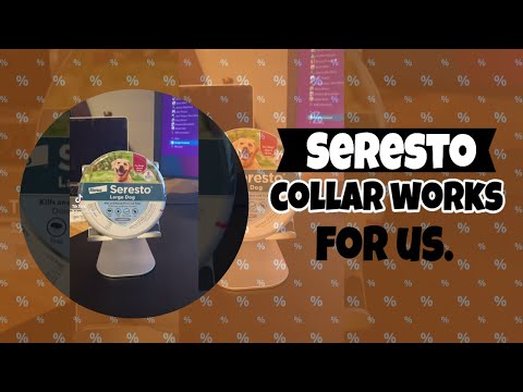 Seresto flea collar works for us.