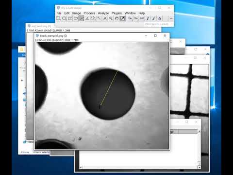 Using ImageJ to measure size