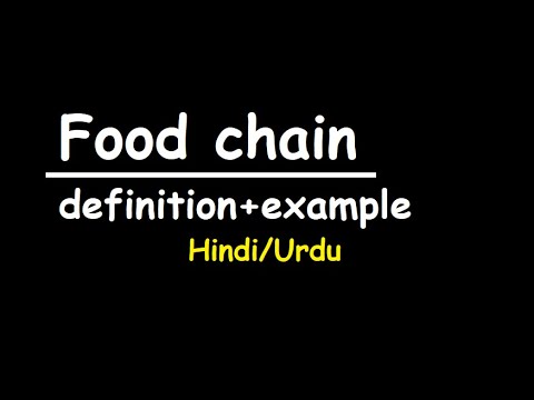 food chain in urdu / in Hindi /what is food chain/easy definition