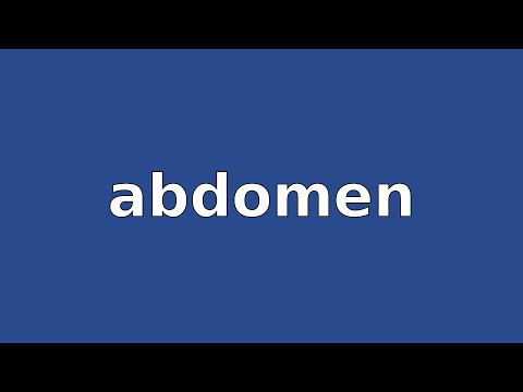 ABDOMEN - Meaning and Pronunciation