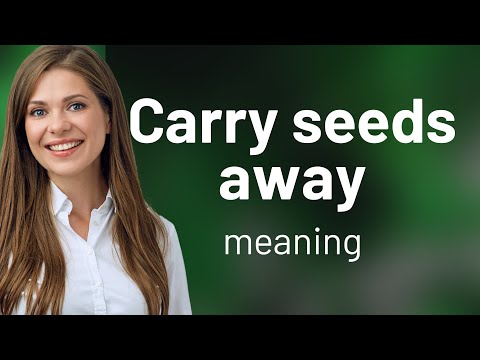 Unveiling Idioms: The Meaning Behind "Carry Seeds Away"