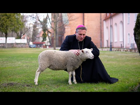 Życzenia wielkanocne od bp. Piotra Przyborka