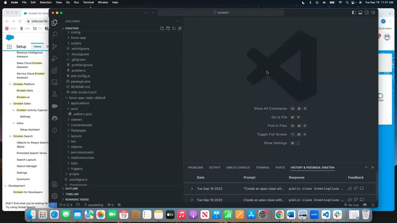 Salesforce Einstein GPT for Developers using VS Code(2023)