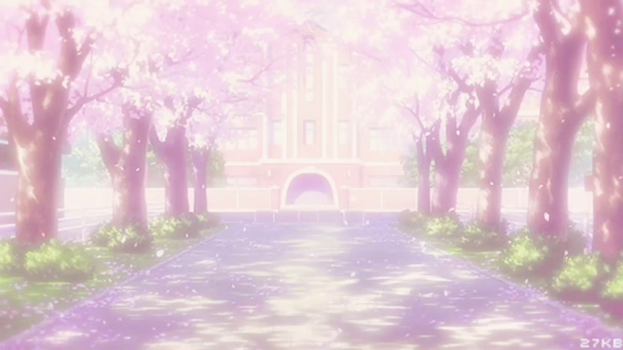 Cherry Blossom anime Gif Free Use