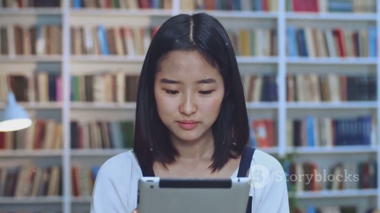 Mastering Mandarin  A Beginner's Guide