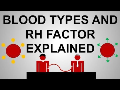 🩸 ( MLT) Rh Factor Explained details in hindi hematology || Abo system in hindi🩸