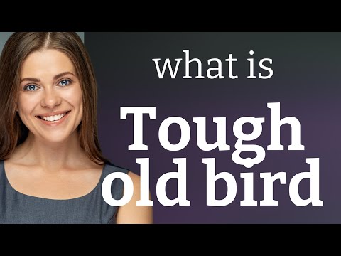 Understanding the Phrase "Tough Old Bird": A Guide to English Idioms
