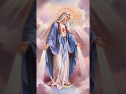 Hail, Mary 🙏 #prayer#catholic#daily#luzon#olongapo#mass#church#amen#repentance#fyp#2025#hailmary