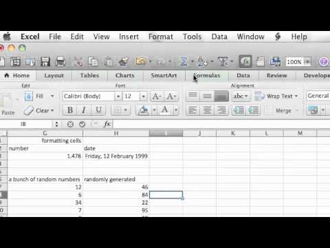 2.2 Formatting Cells & Basic Functions in Excel