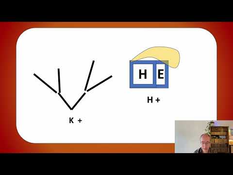 Formation processes of HELP changes into KELP and WELP.