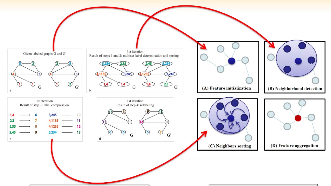 DEMO-Net: Degree-specific Graph Neural Networks for Node and Graph Classification