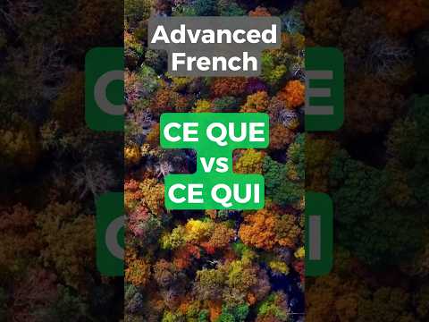 Advanced French - CE QUE vs CE QUI #shorts