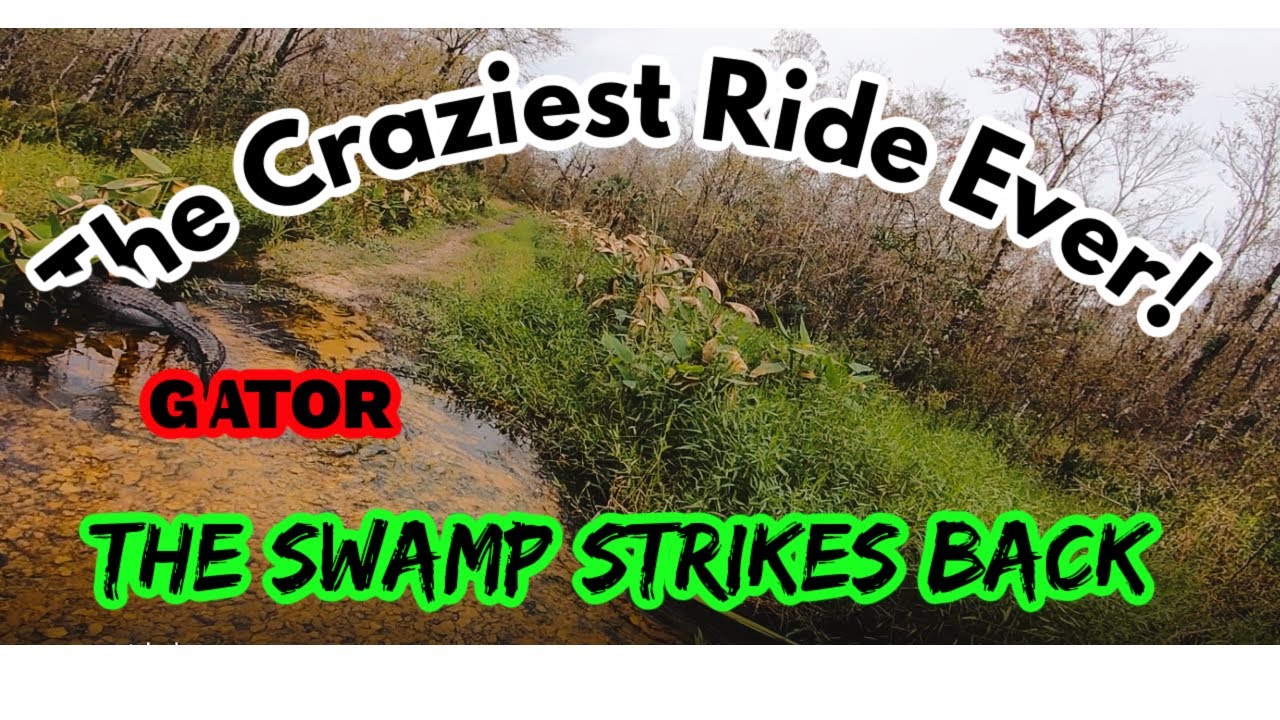 Gatorfest - The Craziest Swamp Ride of my Life