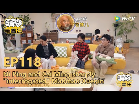 🧊MaoXue Woof 2025:Ni Ping and Cai Ming sharply "interrogated" Maomao Xueqinl Maomao Xueqin!|EP118