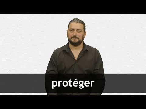 English Translation of “PROTÉGER” | Collins French-English Dictionary